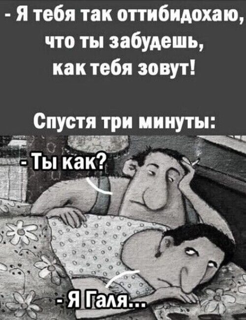 Лента по интересам - 3550696 - Tabor.ru