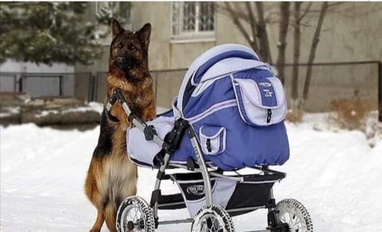 Утром Михаилу Сергеевичу стало хуже. Он задыхался. - Психология ...